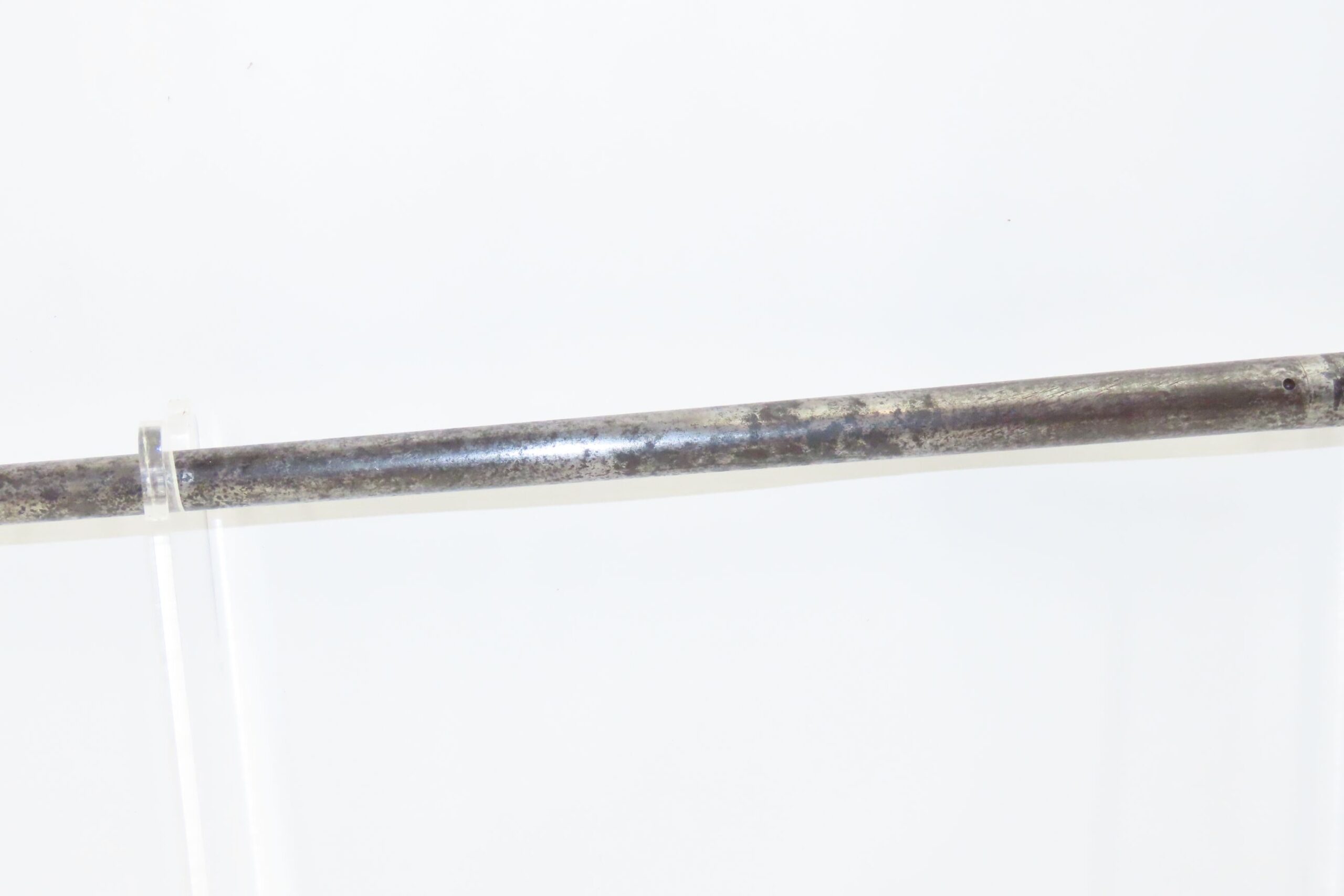 Underhammer Percussion Cane Gun with Brass Horse Head Handle 9.14.21 C ...