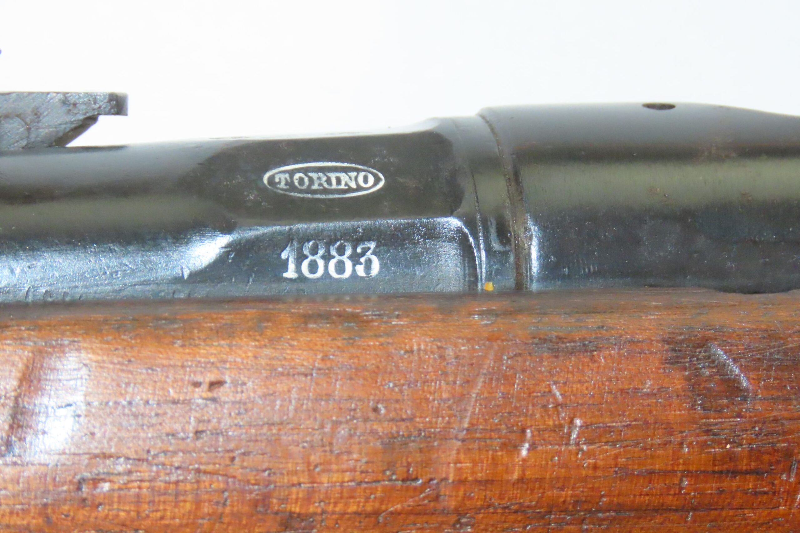 Torino Vetterli Rifle 6.08.22 C&RAntique014 | Ancestry Guns