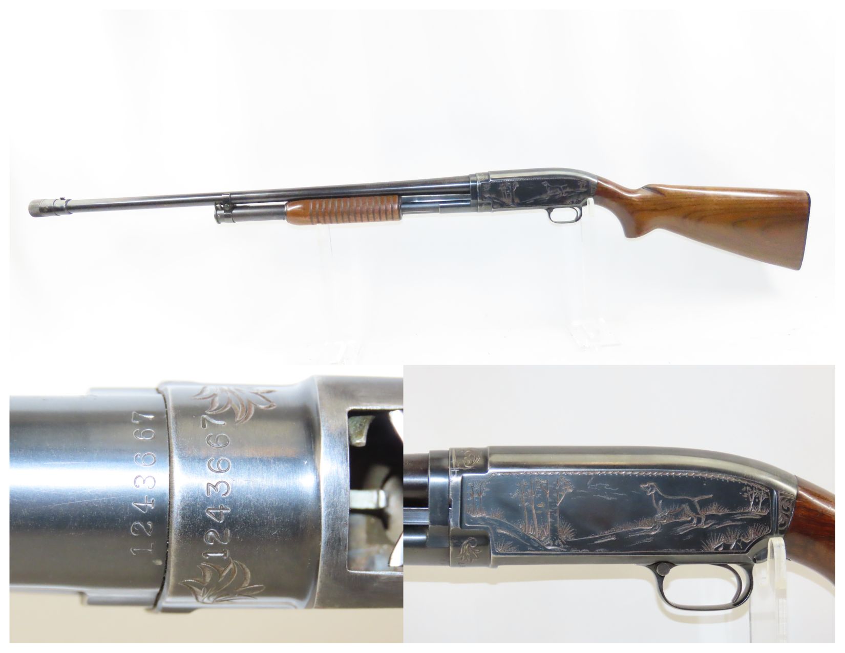 Winchester Model 12 Slide Action Engraved Shotgun 9.13 C&RAntique001 ...