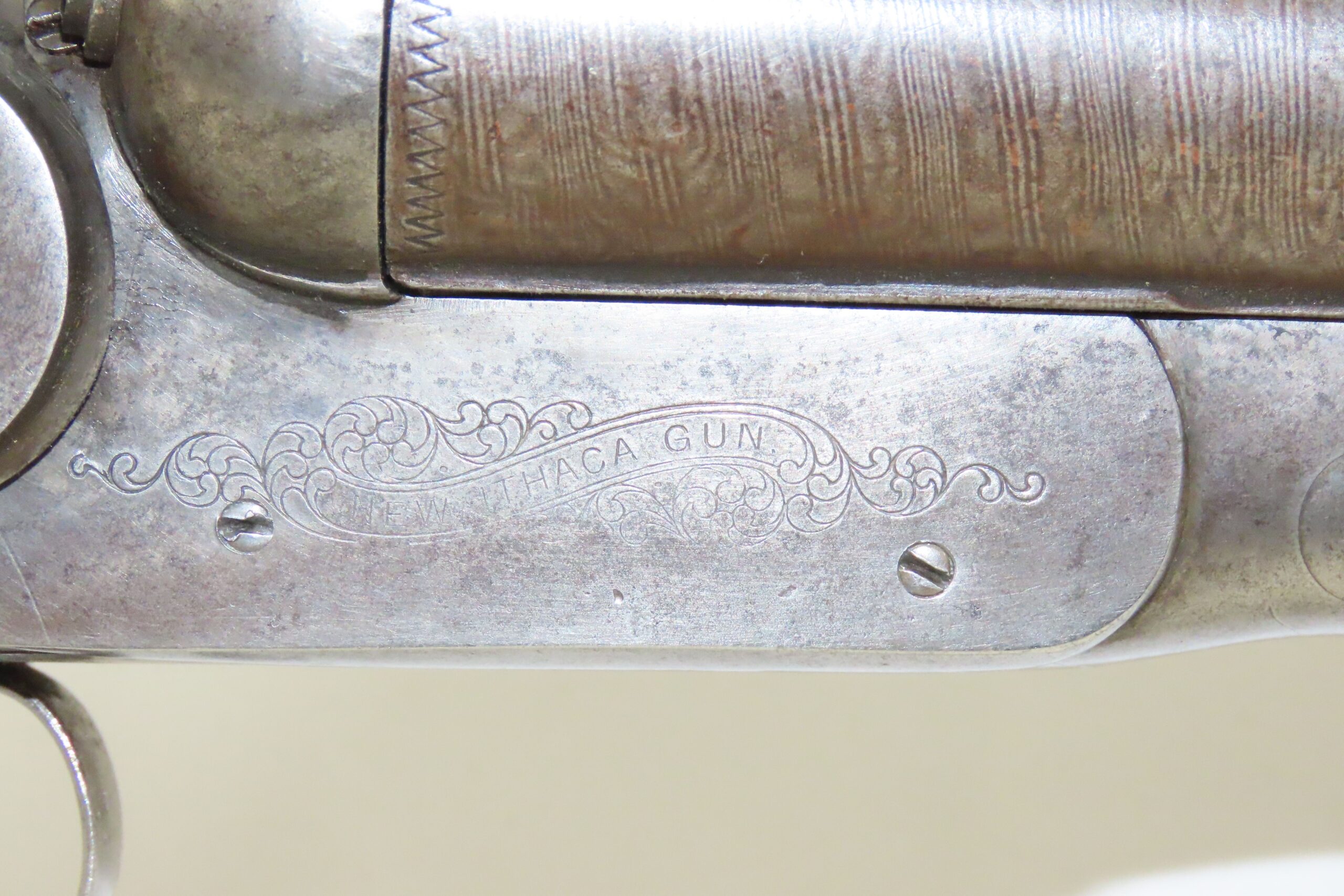 Ithaca 10 gauge New Ithaca Gun Shotgun 1.16 C&RAntique013 | Ancestry Guns